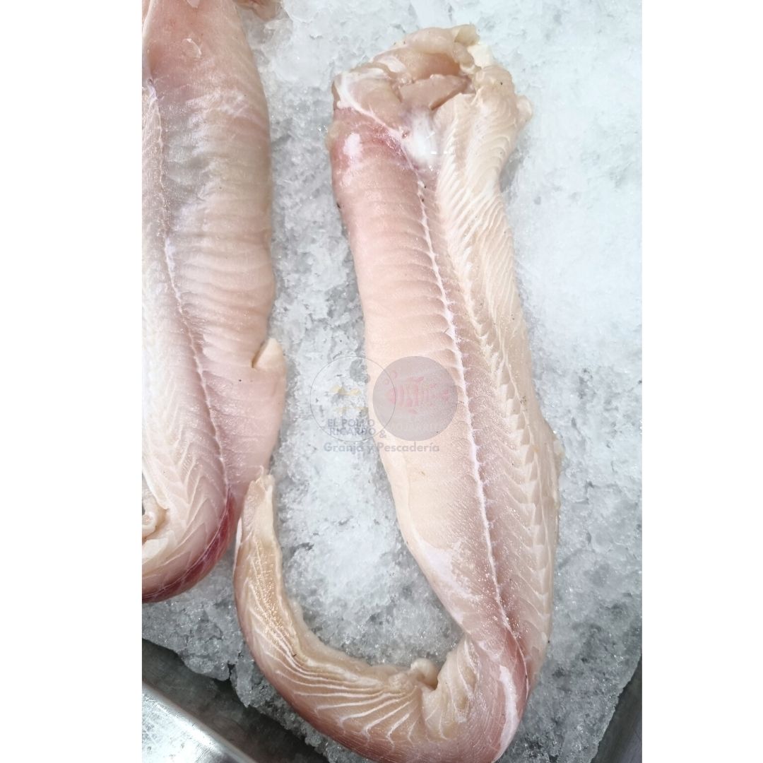 Filet de Pollo de Mar kg – Granja & Pescadería